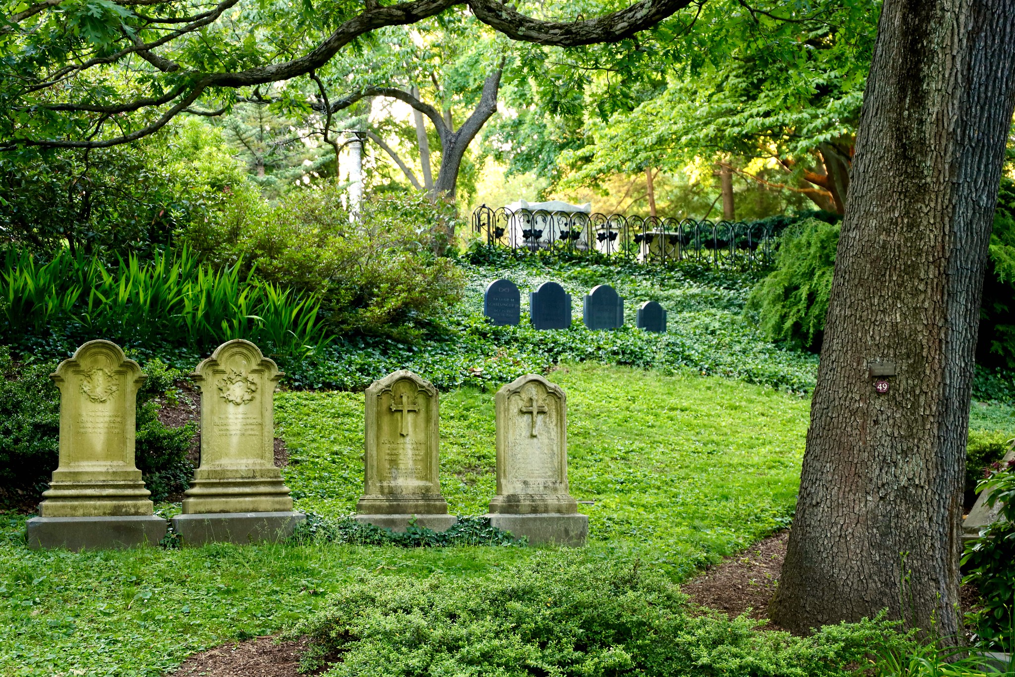 Mount Auburn Cemetery - Cambridge Office for Tourism