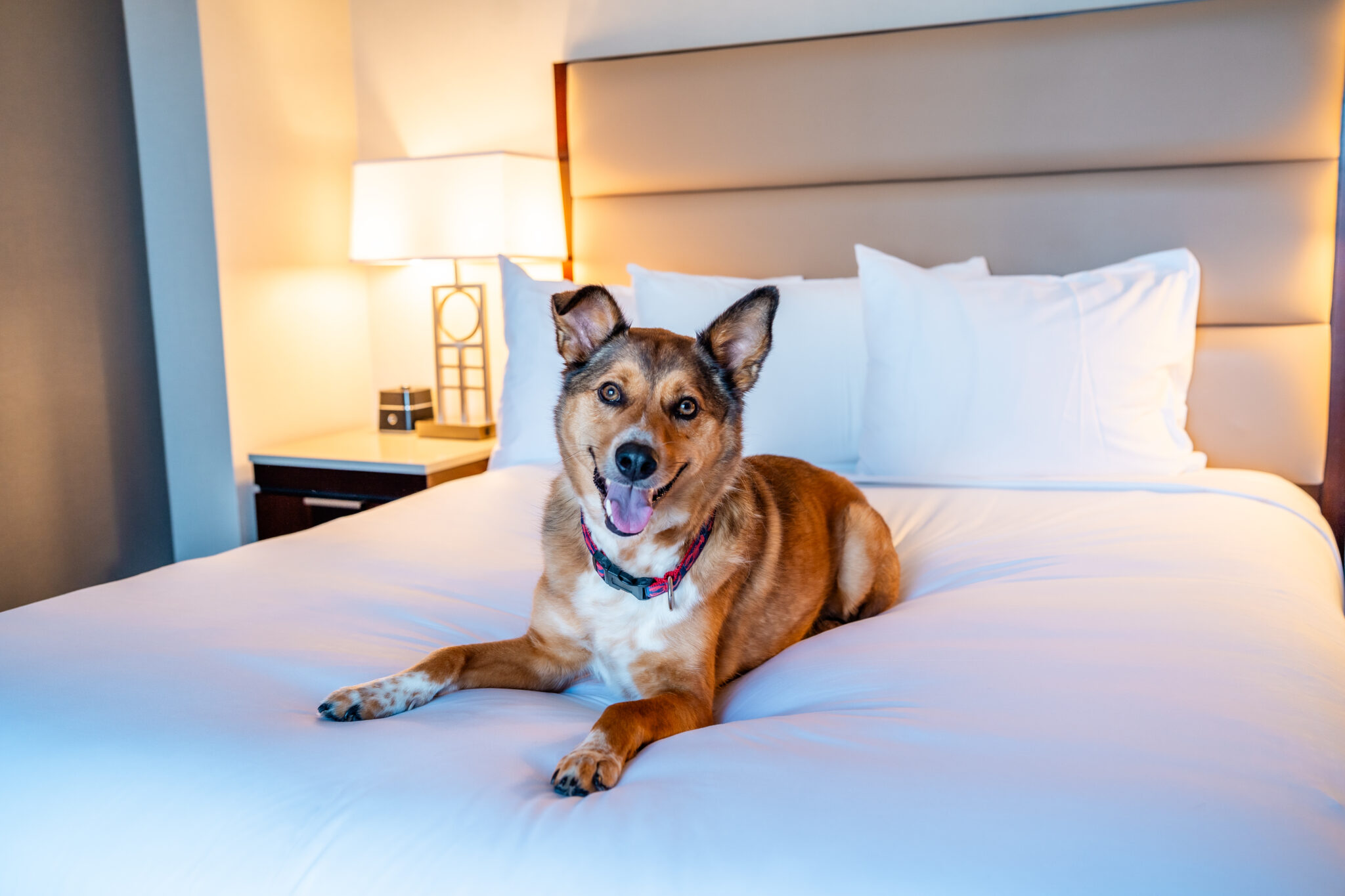 Patterns in Nature Exhibition - Cambridge Office for Tourism