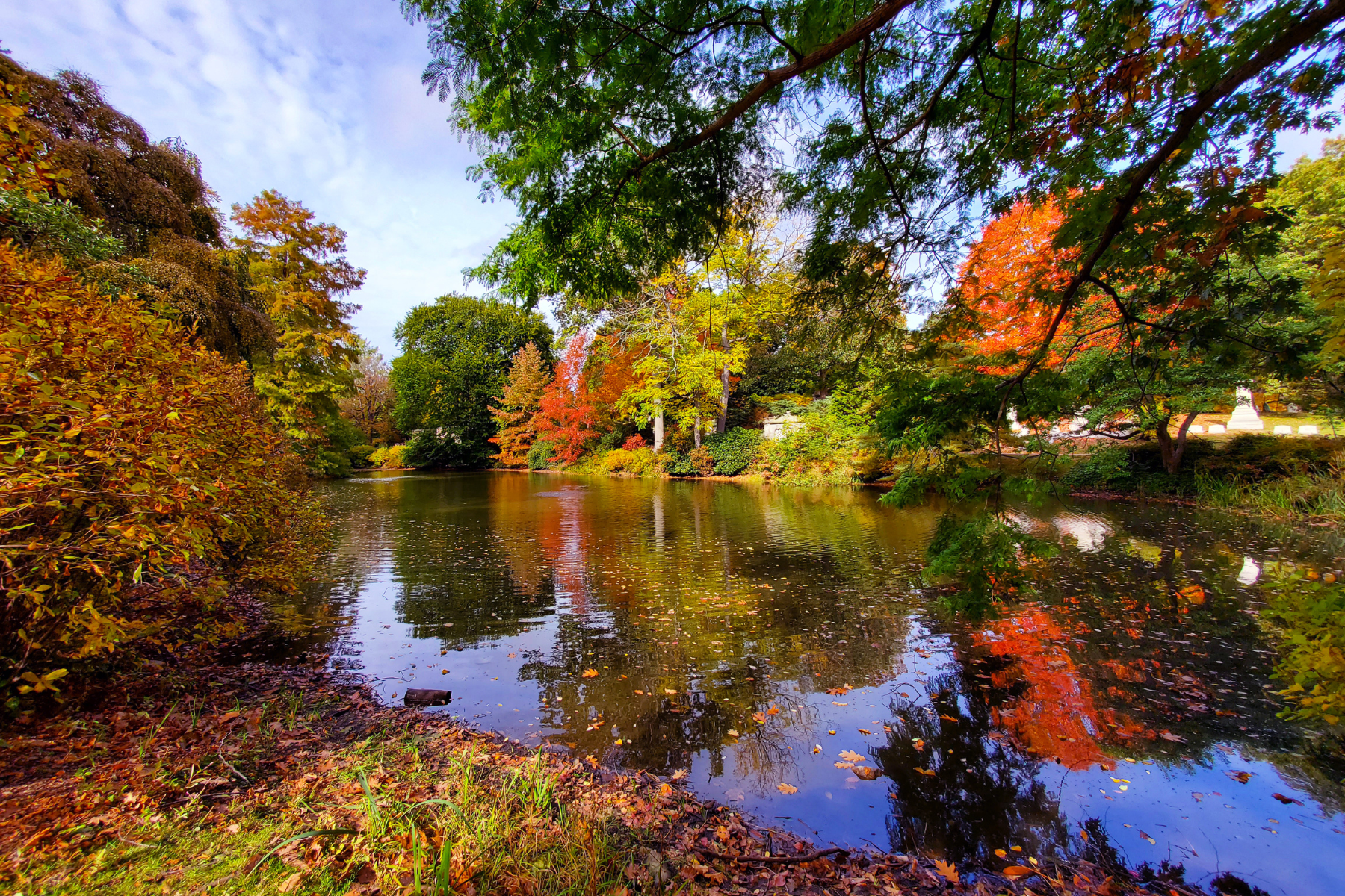 The Dance Complex - Cambridge Office for Tourism